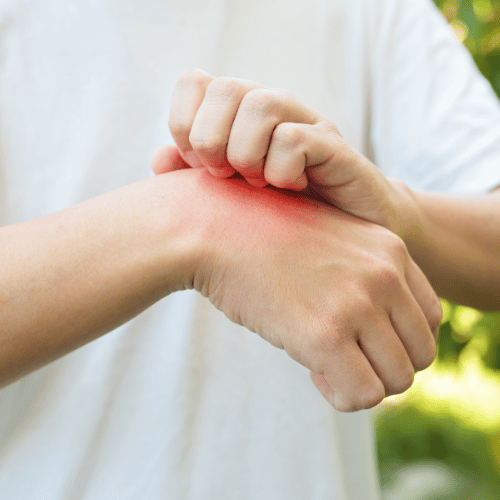 Bazofil granulocita-Trombózis-és Hematológiai Központ