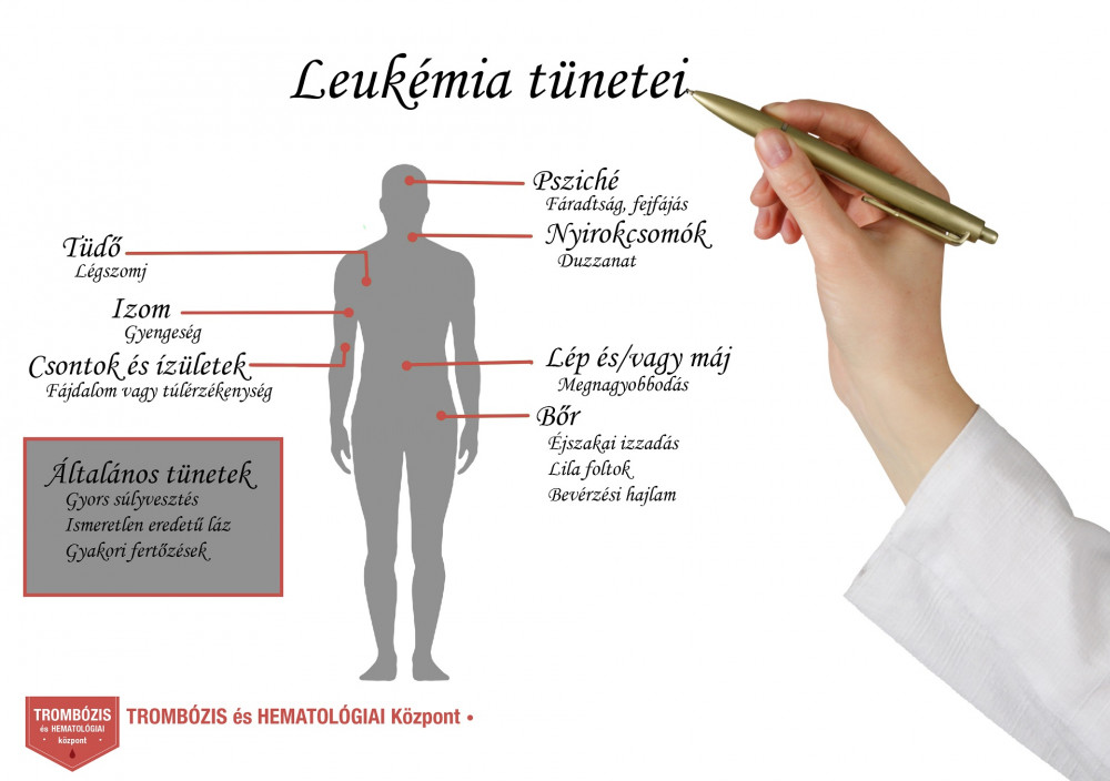 Leukémia - Trombózis- és Hematológiai Központ